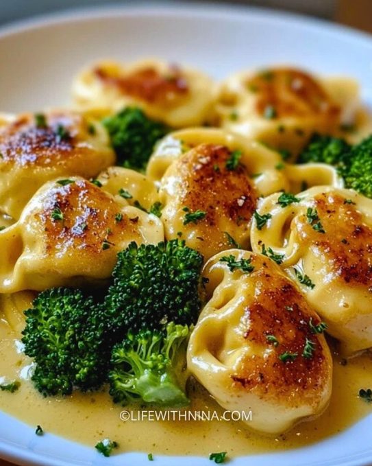 Creamy Garlic Parmesan Tortellini with Chicken and Broccoli