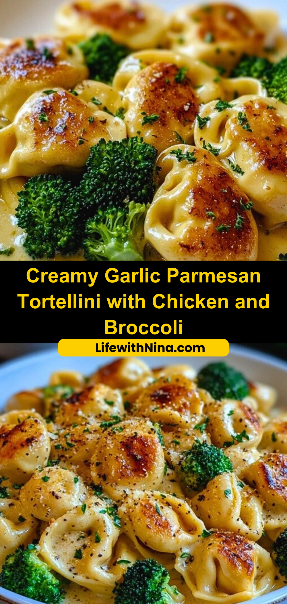 Creamy Garlic Parmesan Tortellini with Chicken and Broccoli