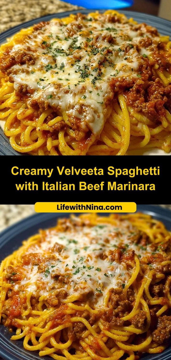 Velveeta Spaghetti with Italian Beef Marinara